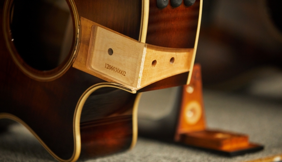 Guitar Necks - Acoustic & Electric Shapes | Taylor Guitars