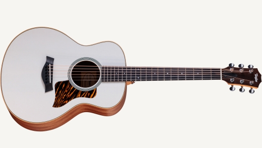 GS Mini Series Acoustic Guitars | Taylor Guitars
