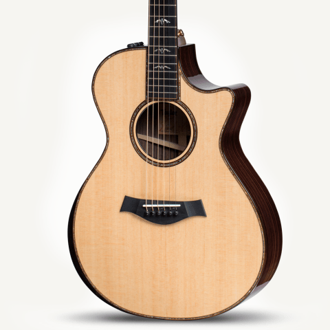 900 Series Guitars | Taylor Guitars