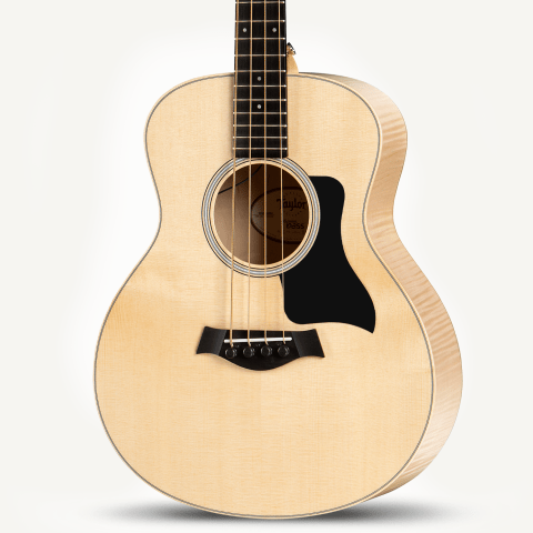 GS Mini Series Guitars | Taylor Guitars