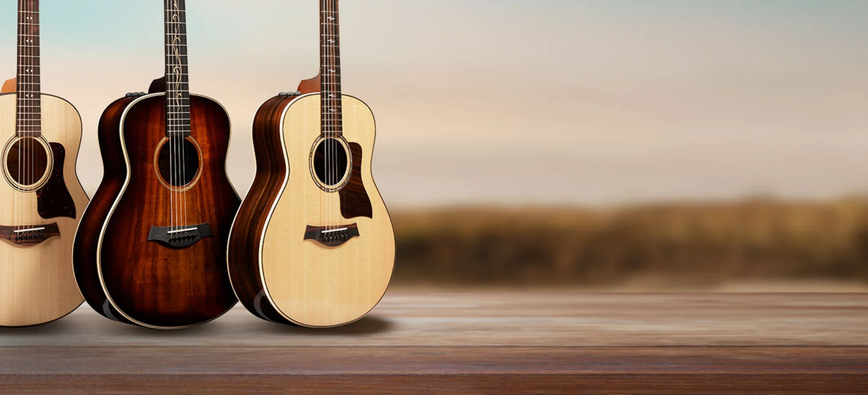 Taylor GT Acoustic Guitar | Taylor Guitars