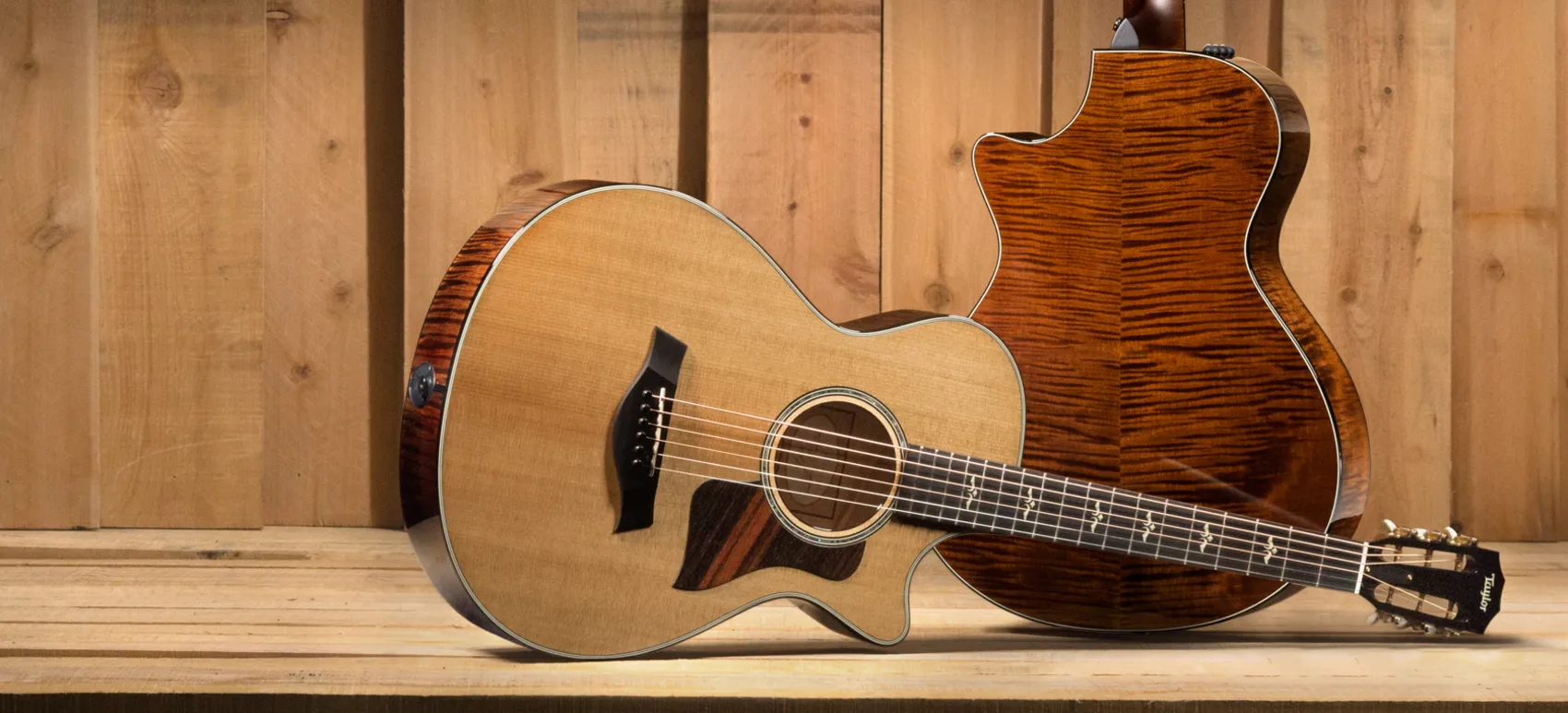 6-String Acoustic & Electric Guitars - Steel String | Taylor Guitars