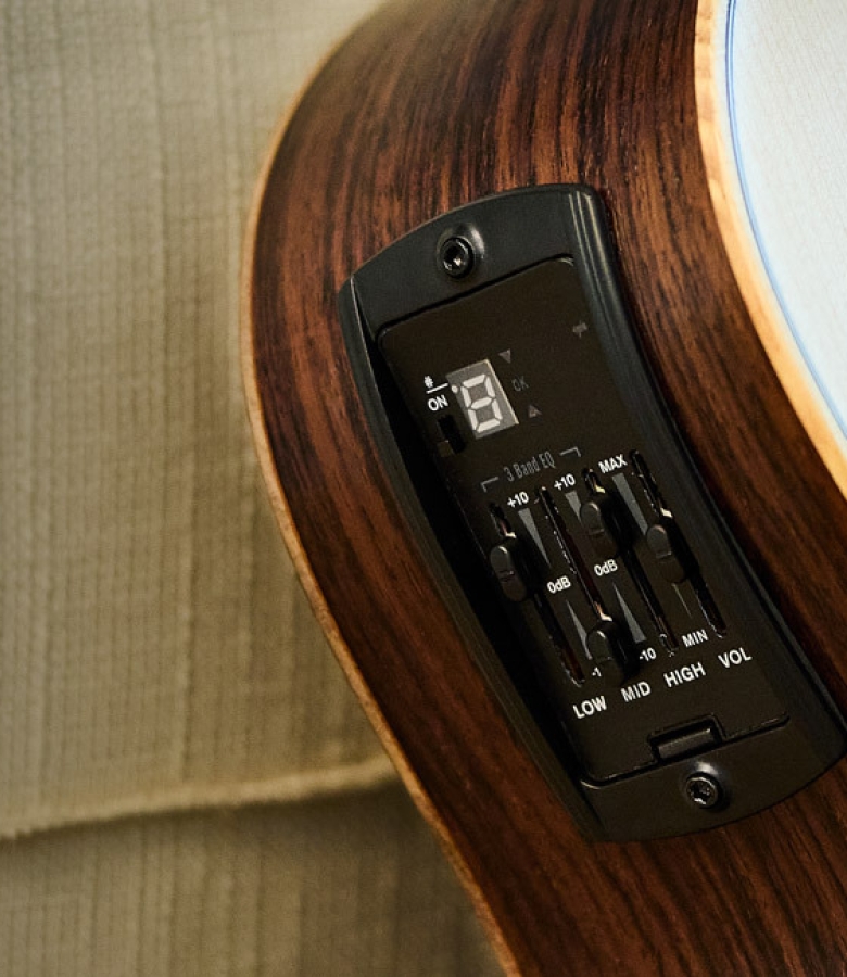 ES-B | Taylor Guitars