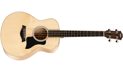 GS Mini Series Guitars | Taylor Guitars