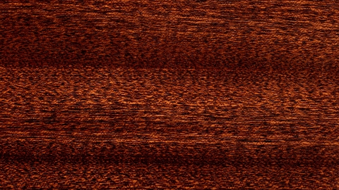 Sapele Acoustic Guitar, African Body Tonewood | Taylor Guitars