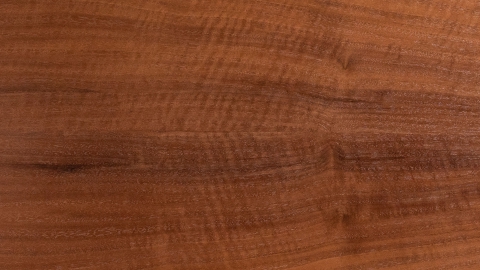 Walnut Acoustic Guitar, Body Wood Tonewood | Taylor Guitars