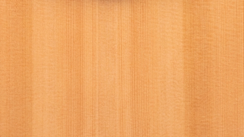 Western Red Cedar | Taylor Guitars